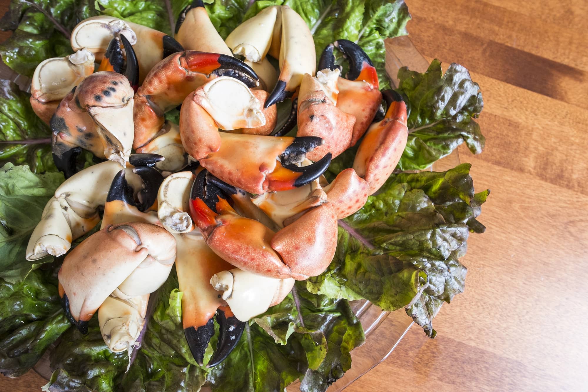 Learn How to Cook Stone Crab Claws - Easy Guide