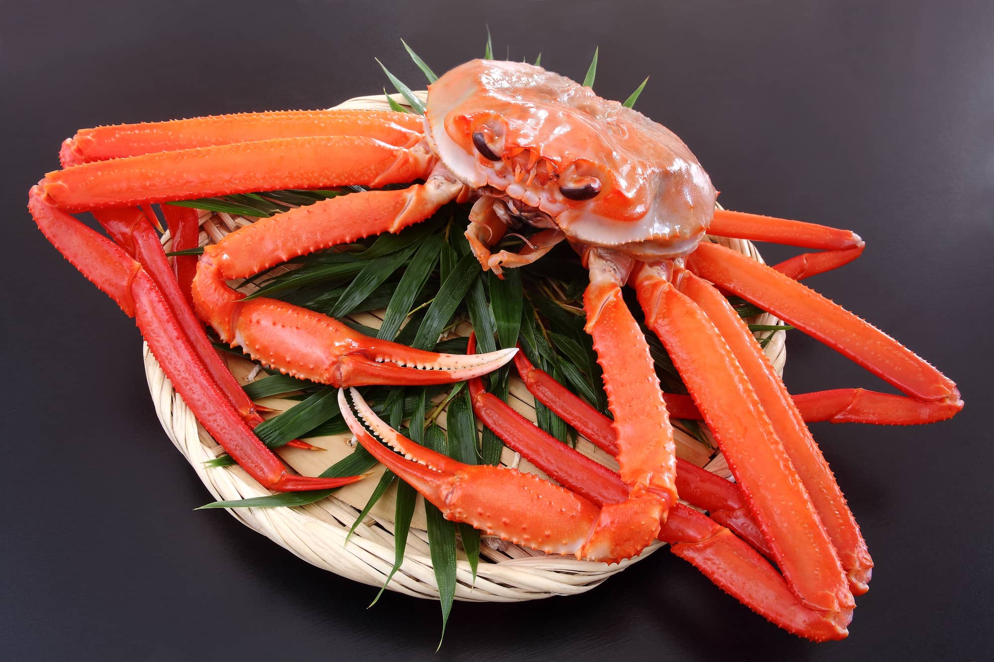 Stone Crab vs Snow Crab: A Seafood Comparison Guide